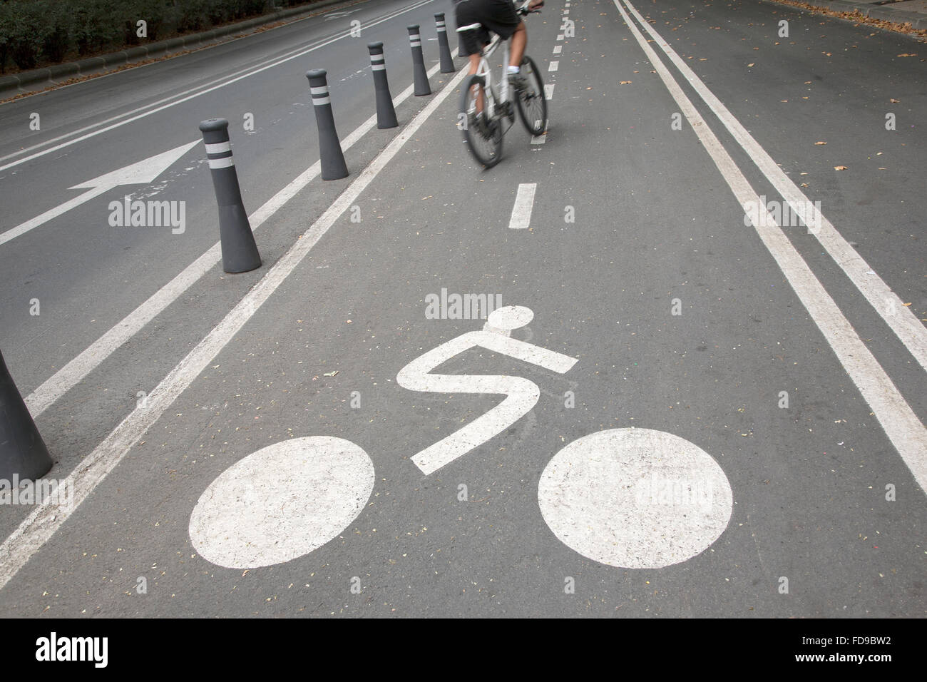 Bike Lane Symbol in Urban Setting Stock Photo - Alamy