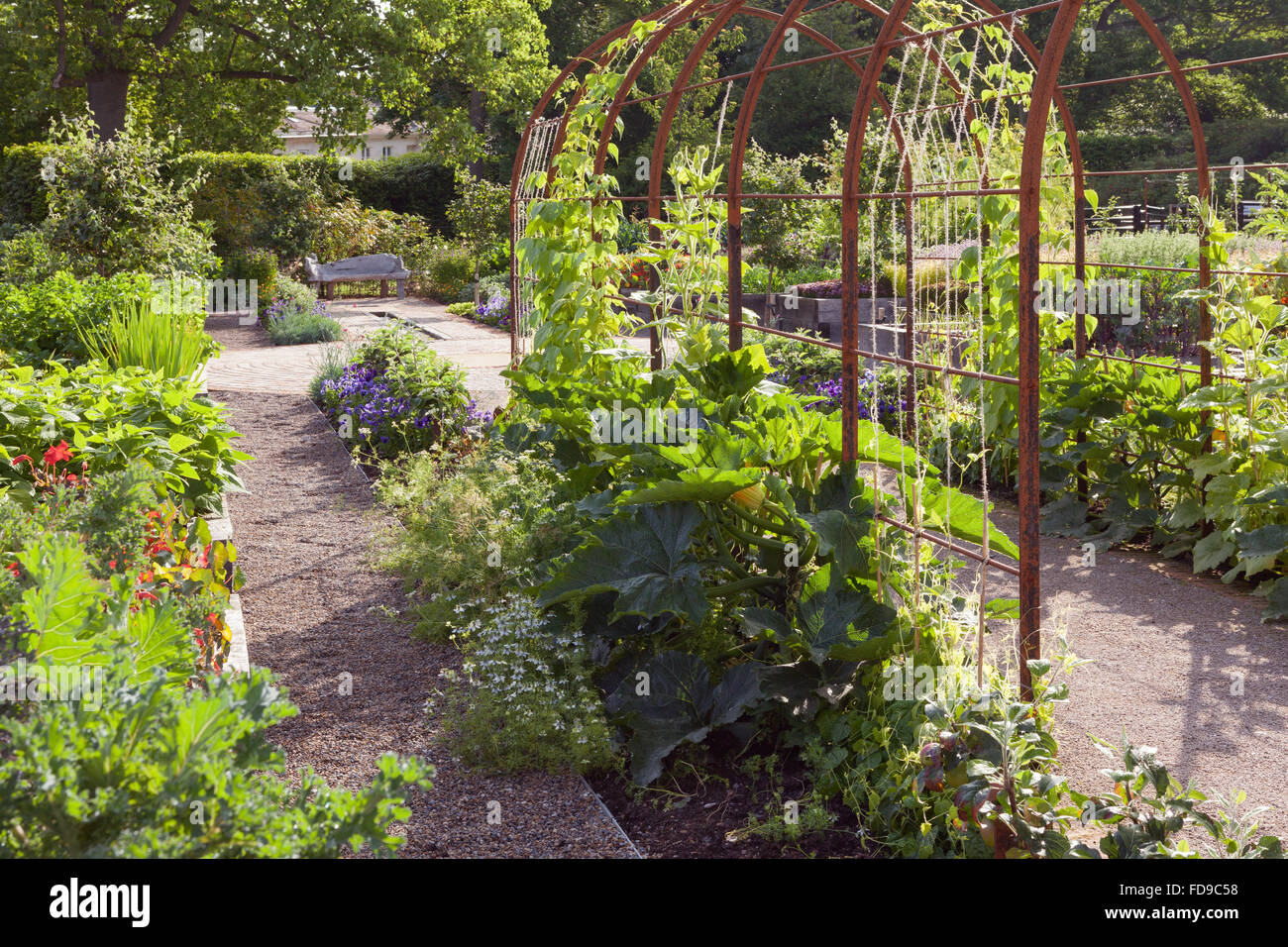 Metal archway climbing frame among raised beds. The Kitchen Garden at ...