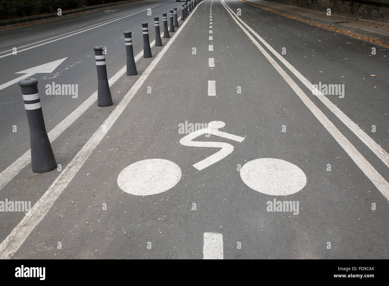 Bike Lane Symbol in Urban Setting Stock Photo - Alamy