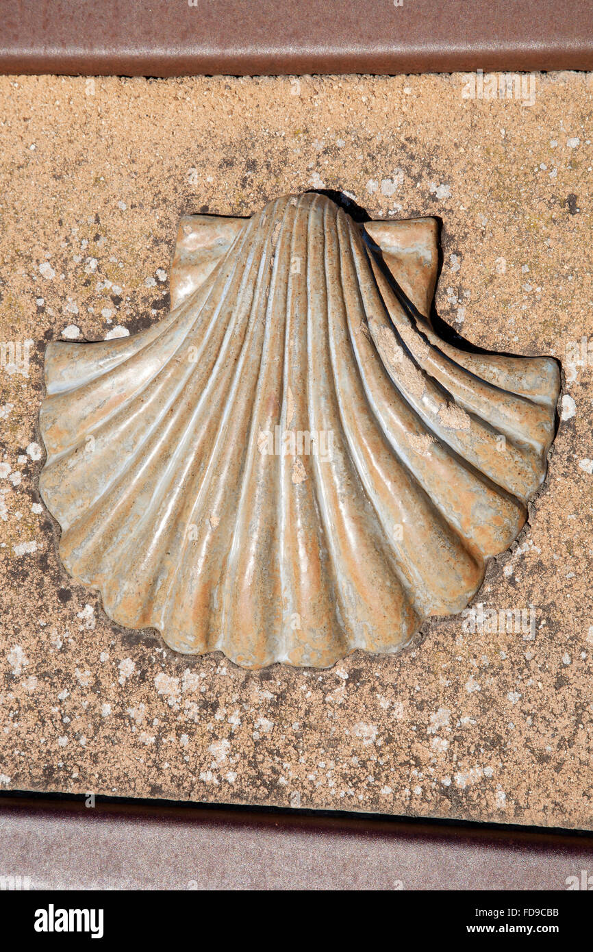 Camino de Santiago Walk Symbol on Stone Background Stock Photo - Alamy