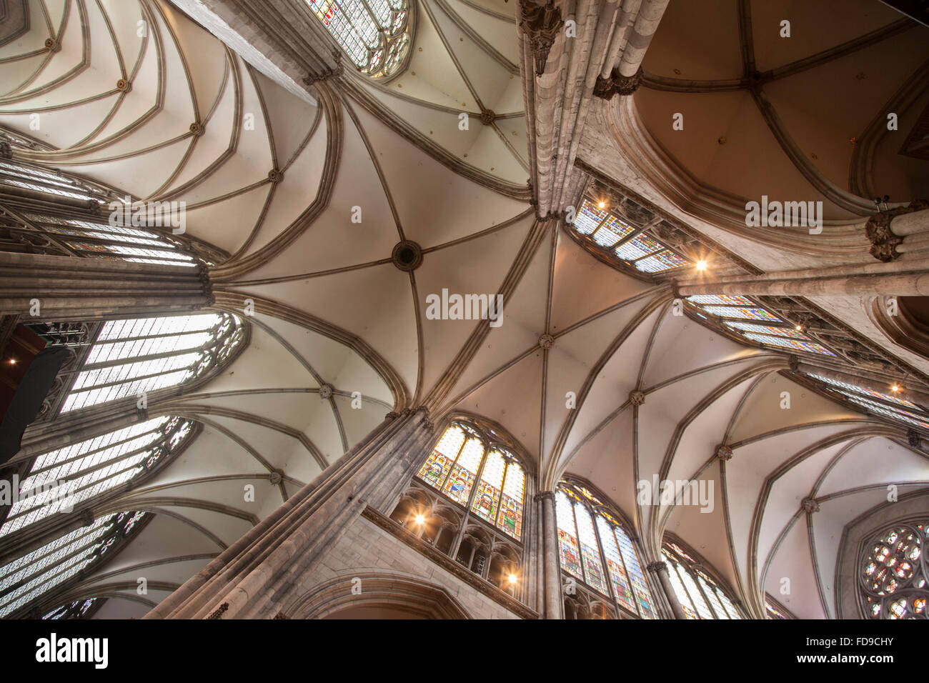 Ceiling of Cathedral; Cologne; Germany Stock Photo - Alamy
