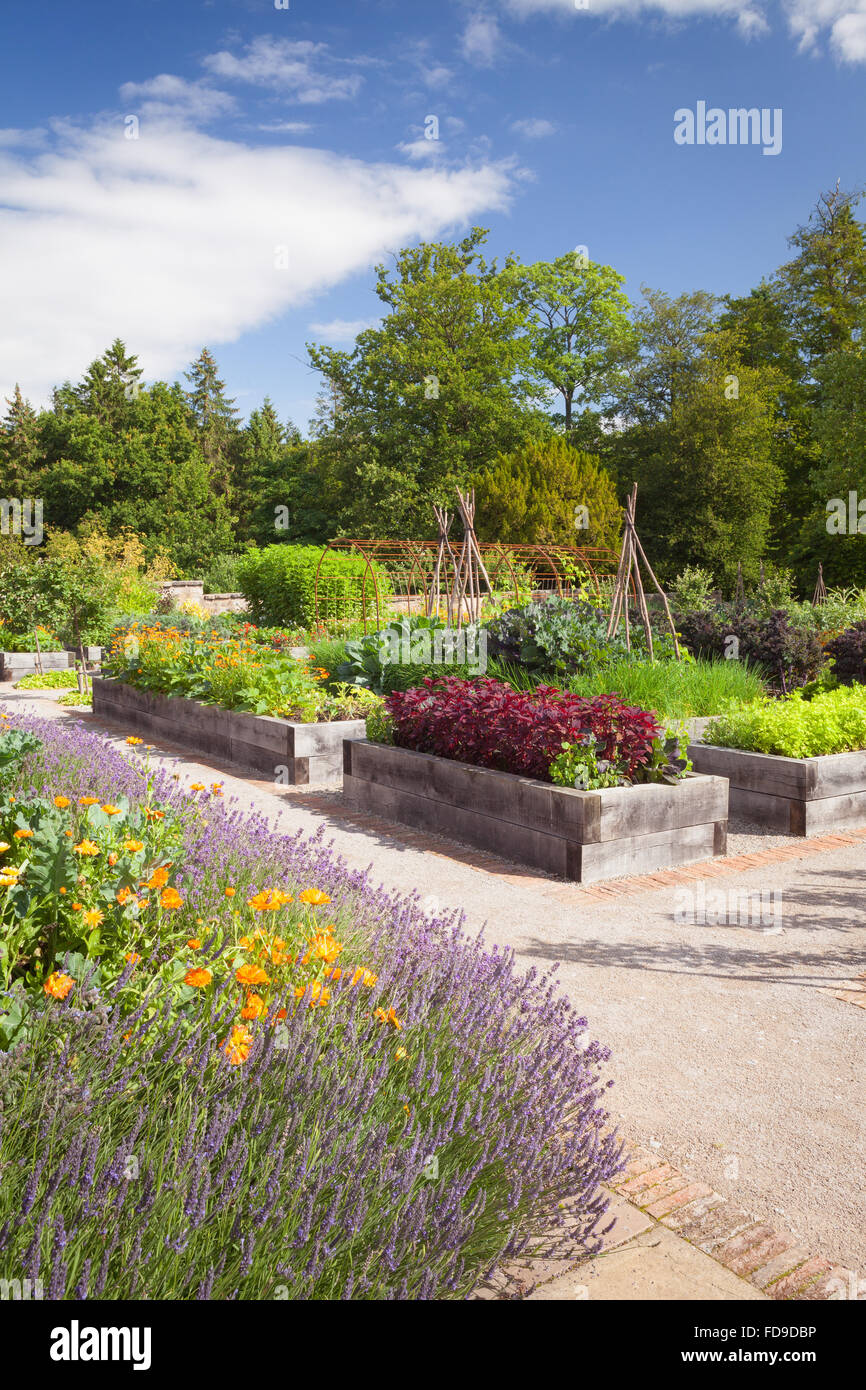Raised beds made of Quercus robur - English Oak. The Kitchen Garden at ...