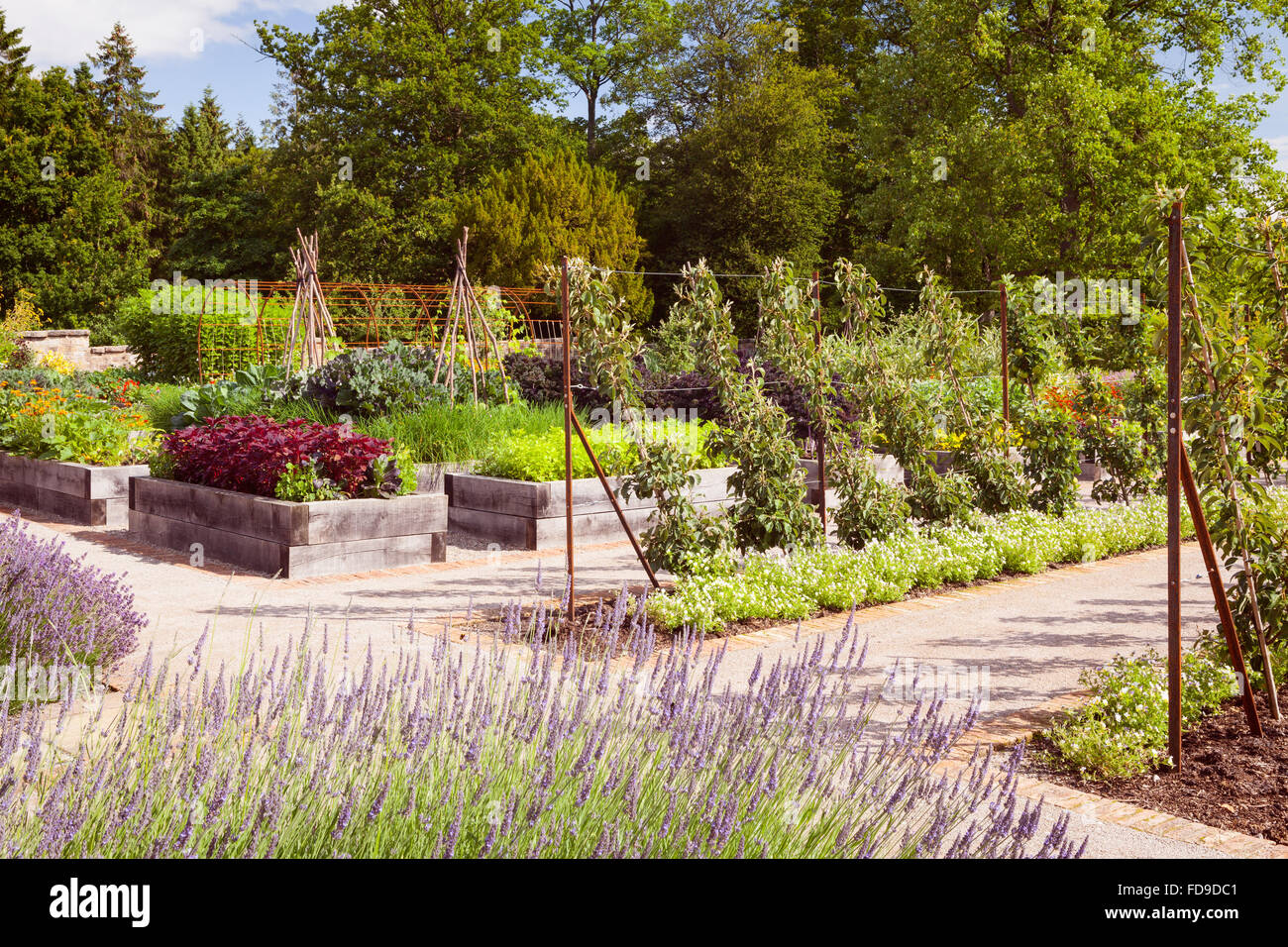 The Kitchen Garden at Rudding Park, North Yorkshire, UK. Summer, July ...