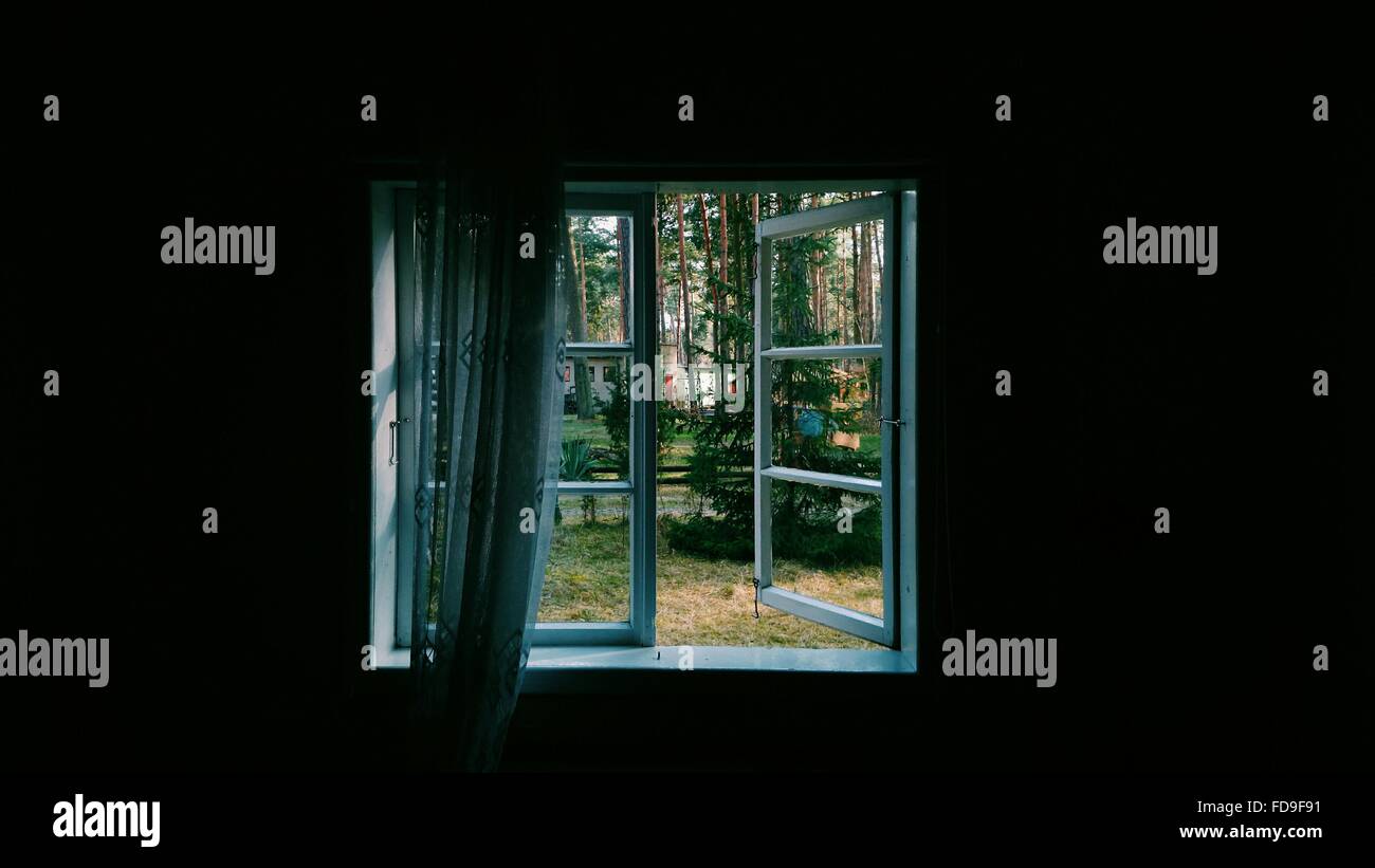 Trees In Yard Seen Through Window Stock Photo - Alamy