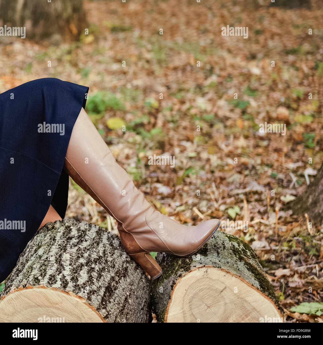 Shoes for fall Stock Photo - Alamy