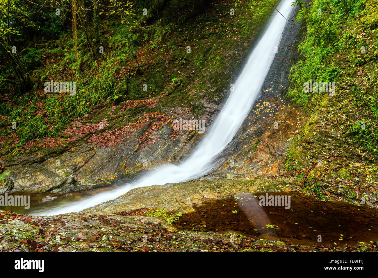 White Lady Waterfall Devon High Resolution Stock Photography and Images ...