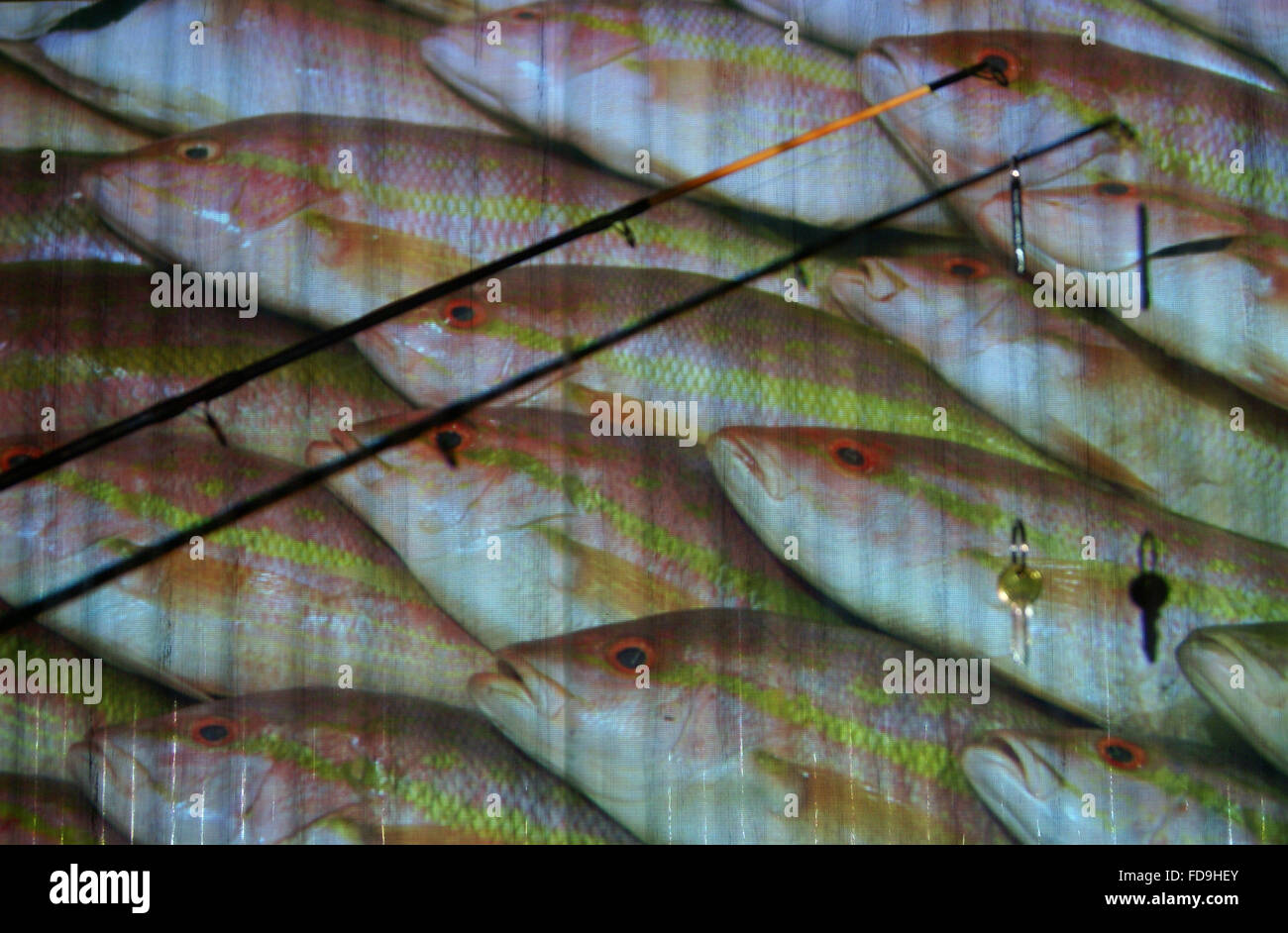 Hook line and sinker hi-res stock photography and images - Alamy