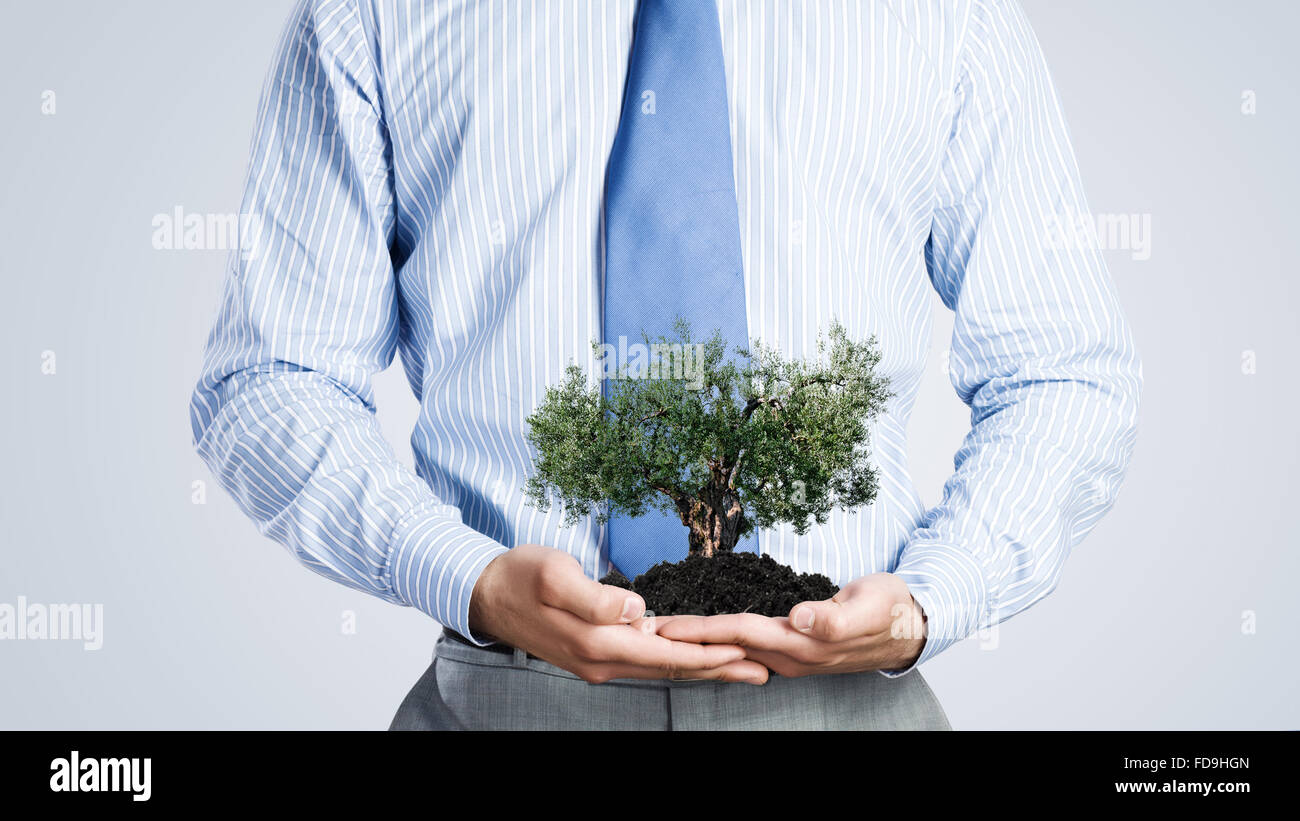 Tree in palms as a symbol of nature protection hi-res stock photography ...