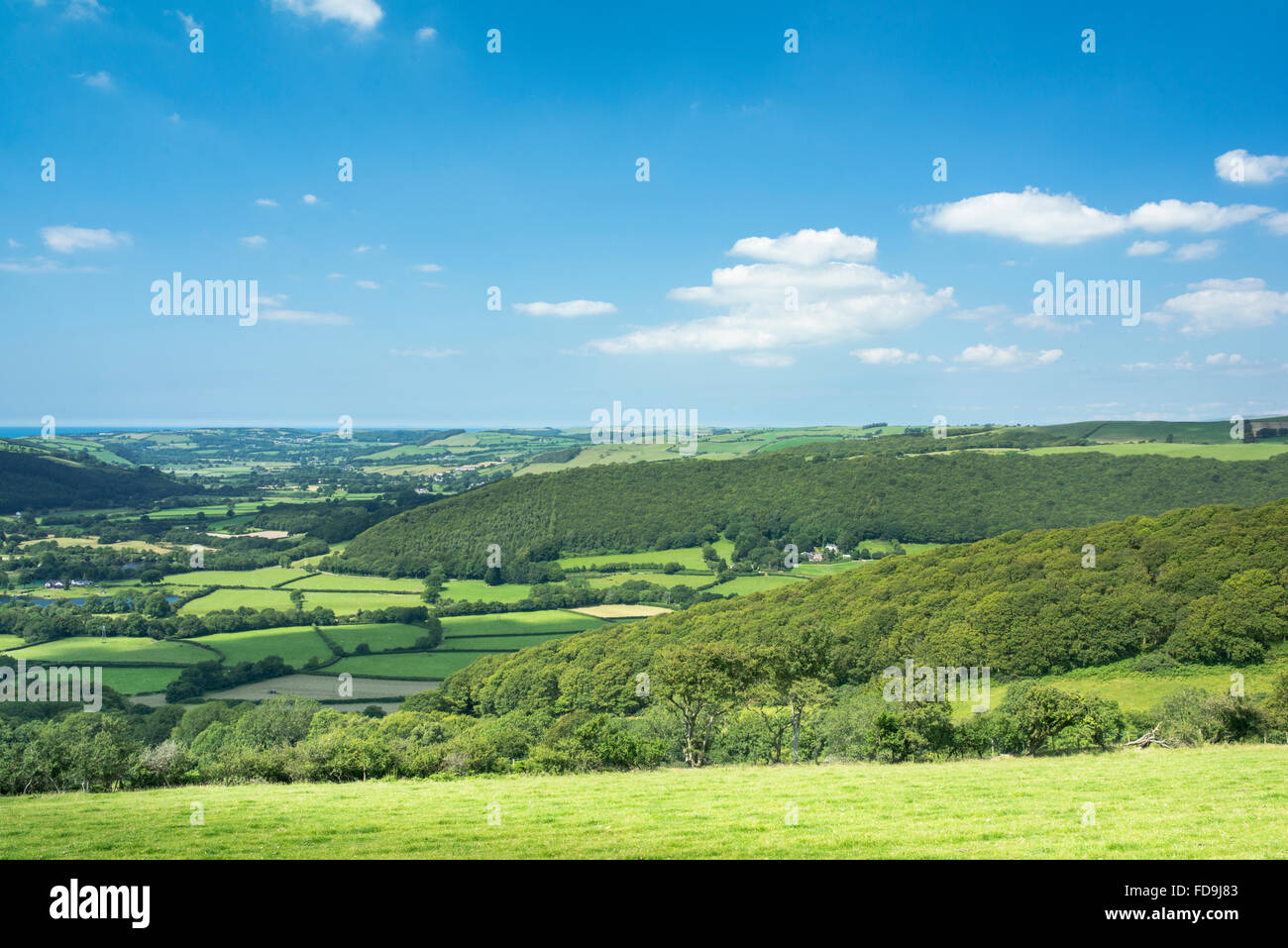 Vale of Rheidol Stock Photo - Alamy