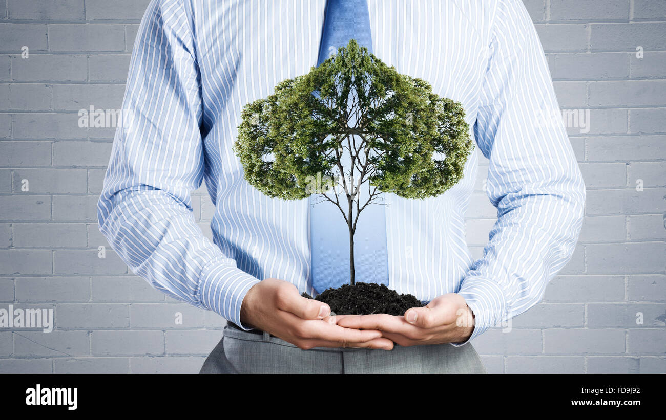Tree in palms as a symbol of nature protection Stock Photo - Alamy