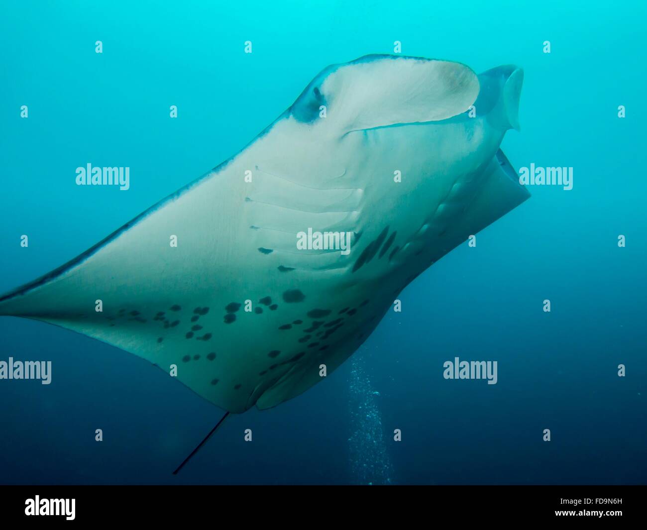 Through blue hi-res stock photography and images - Alamy