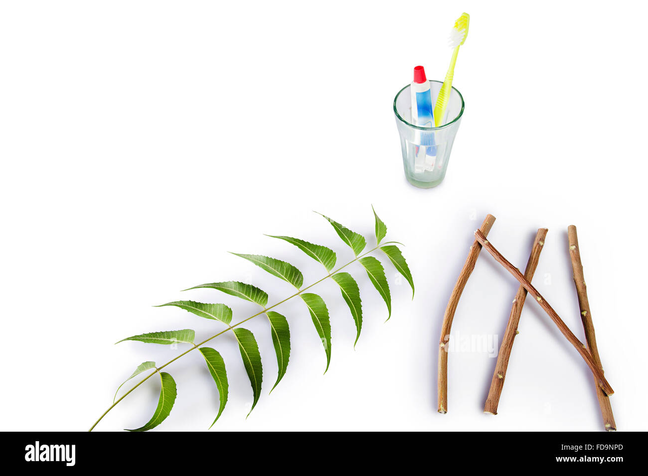 Neem brush hi-res stock photography and images - Alamy