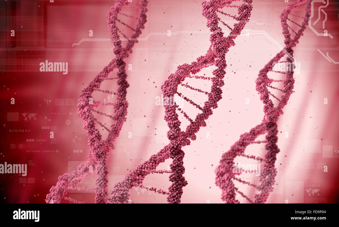 Biochemistry concept with digital red DNA molecule Stock Photo - Alamy