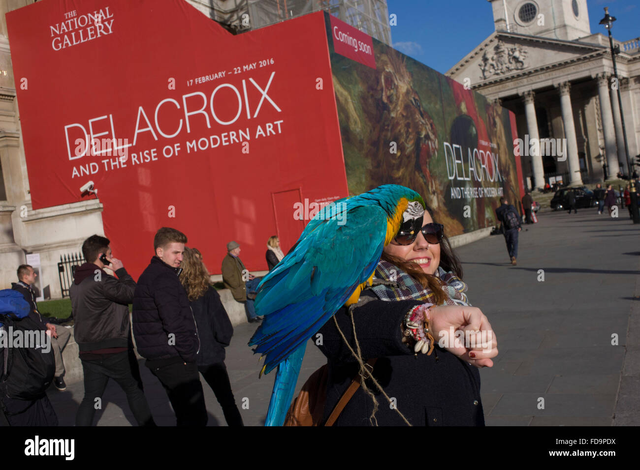 Bird hoarding hi-res stock photography and images - Alamy