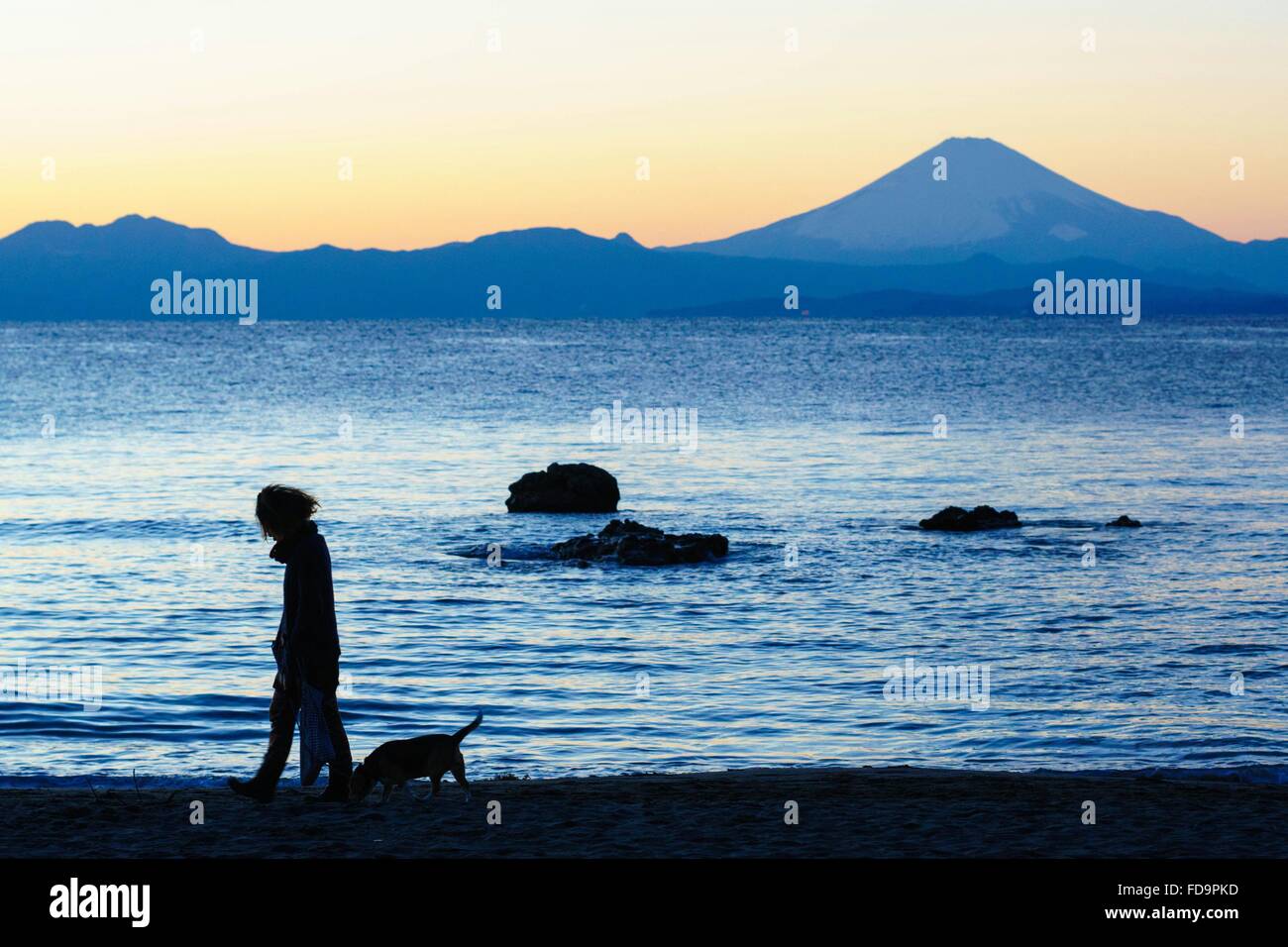 Homeless man walking hi-res stock photography and images - Alamy