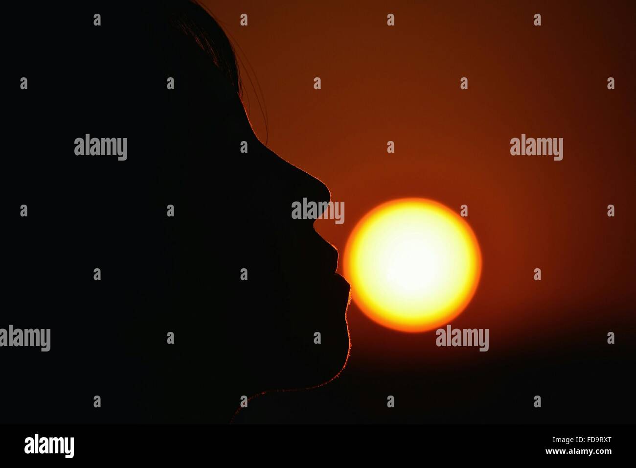 Side view of face silhouette hi-res stock photography and images - Alamy