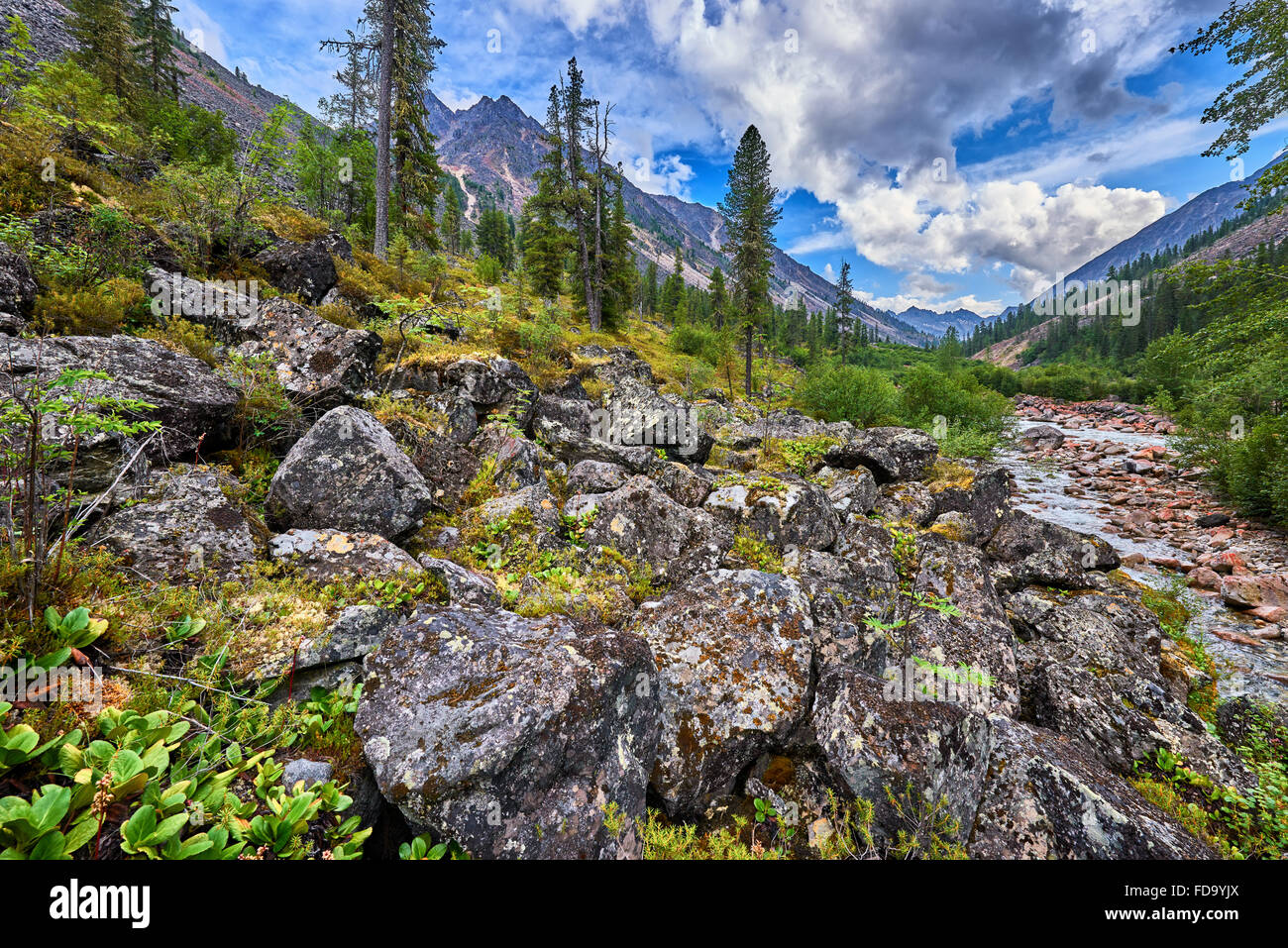 Rare rocks hi-res stock photography and images - Alamy