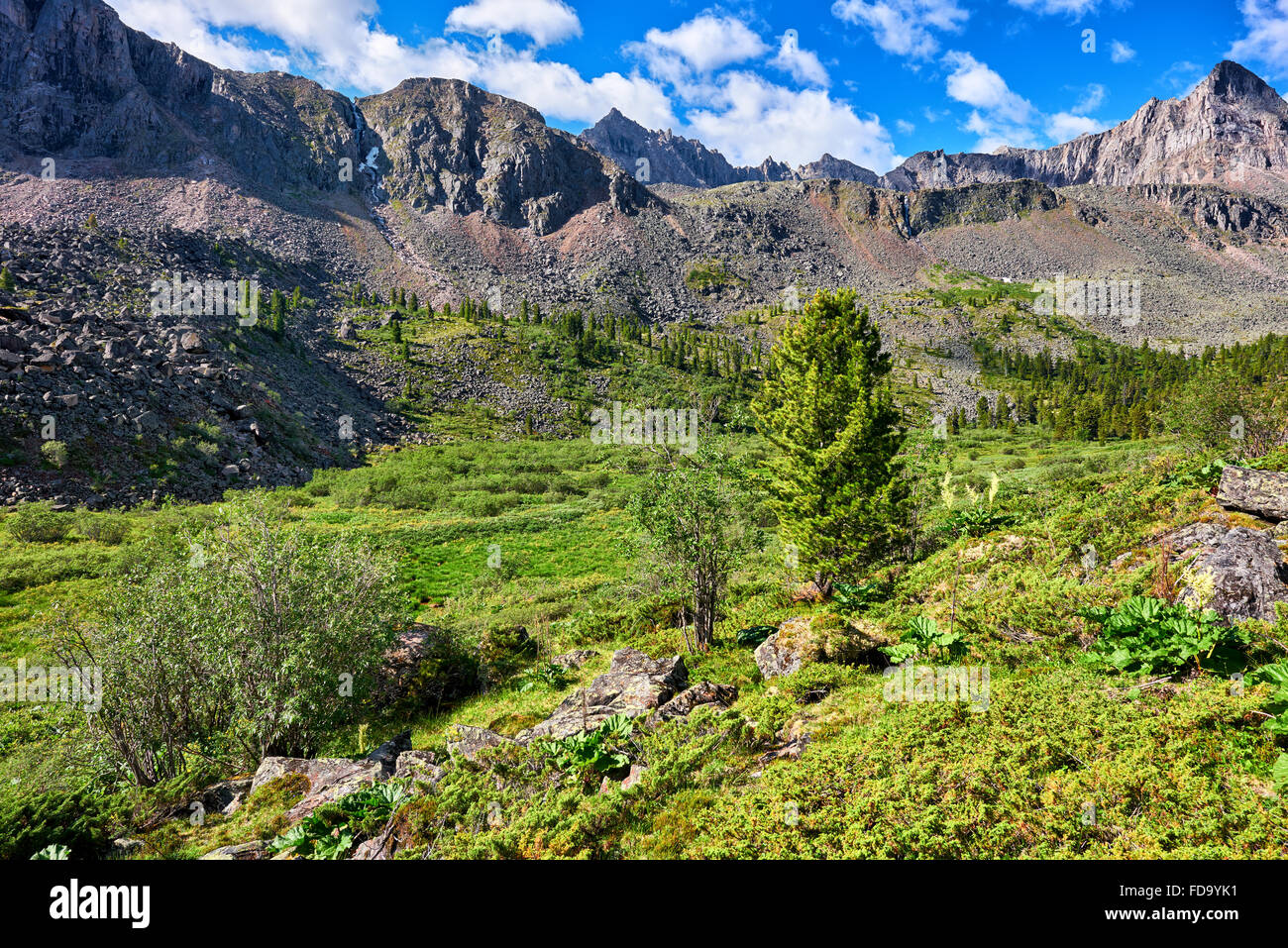 Lowland close to the mountains . Eastern Siberia. Russia Stock Photo ...