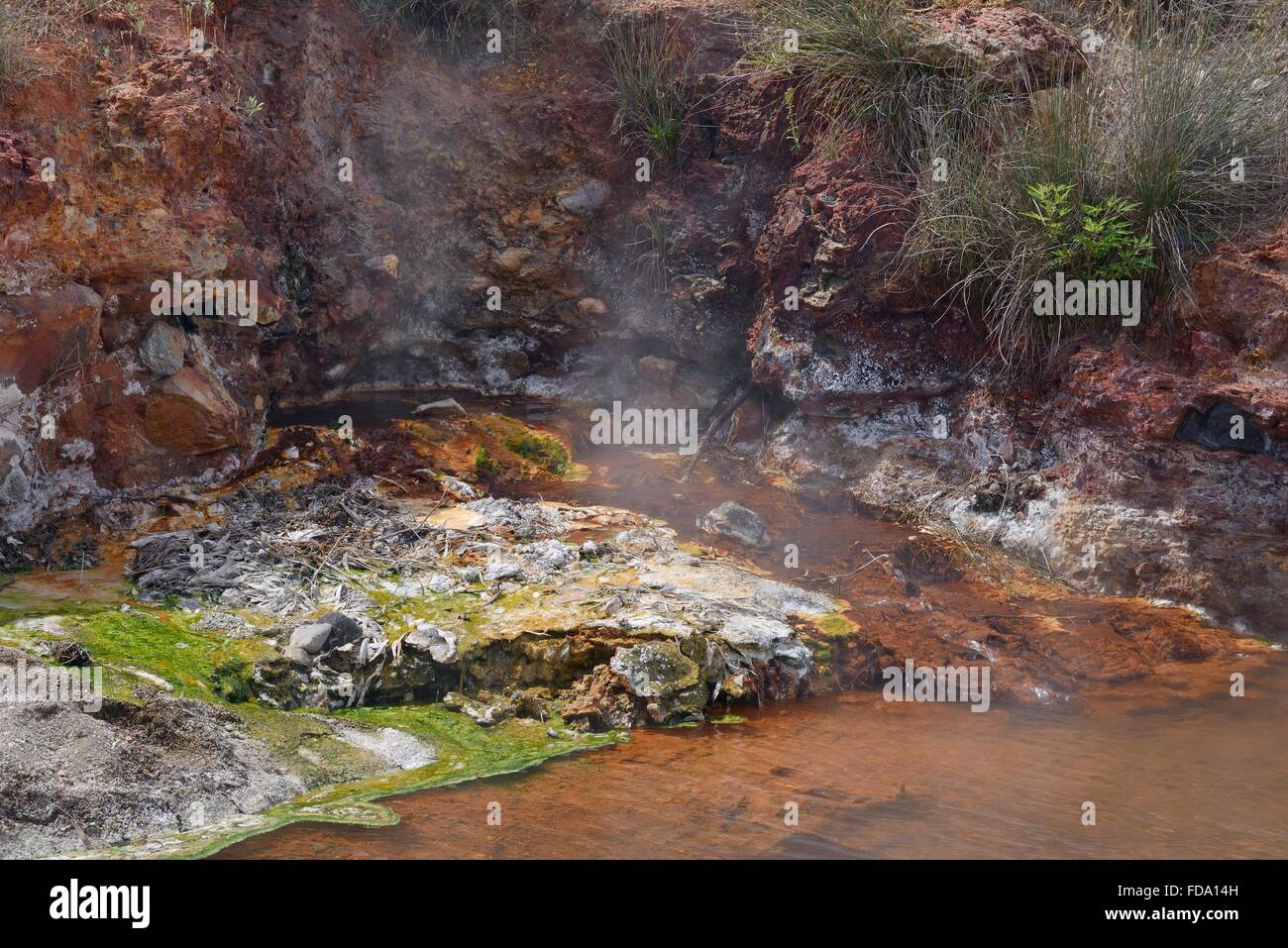 Steam rising from a thermal river, as boiling water from hot springs ...
