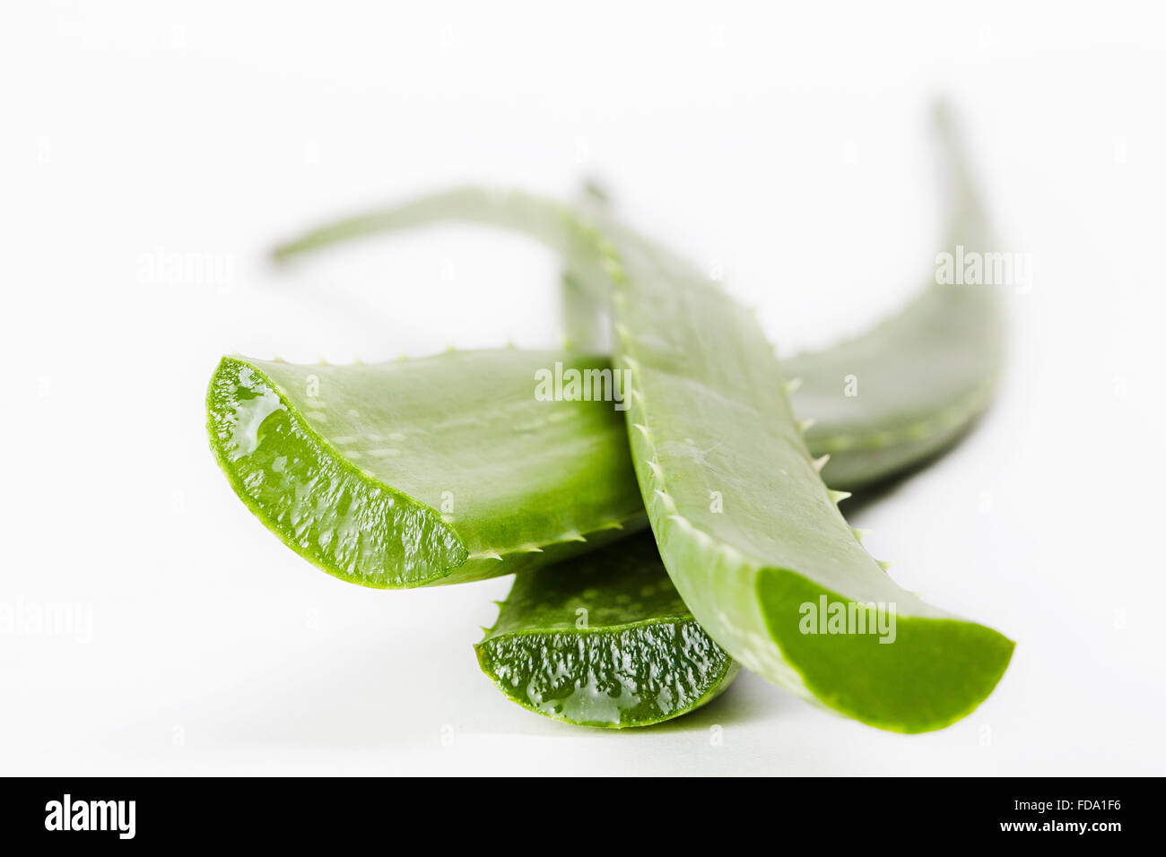 Herb Aloe vera Health Nobody Stock Photo - Alamy Herb Aloe vera Health Nobody Stock Photo - Alamy