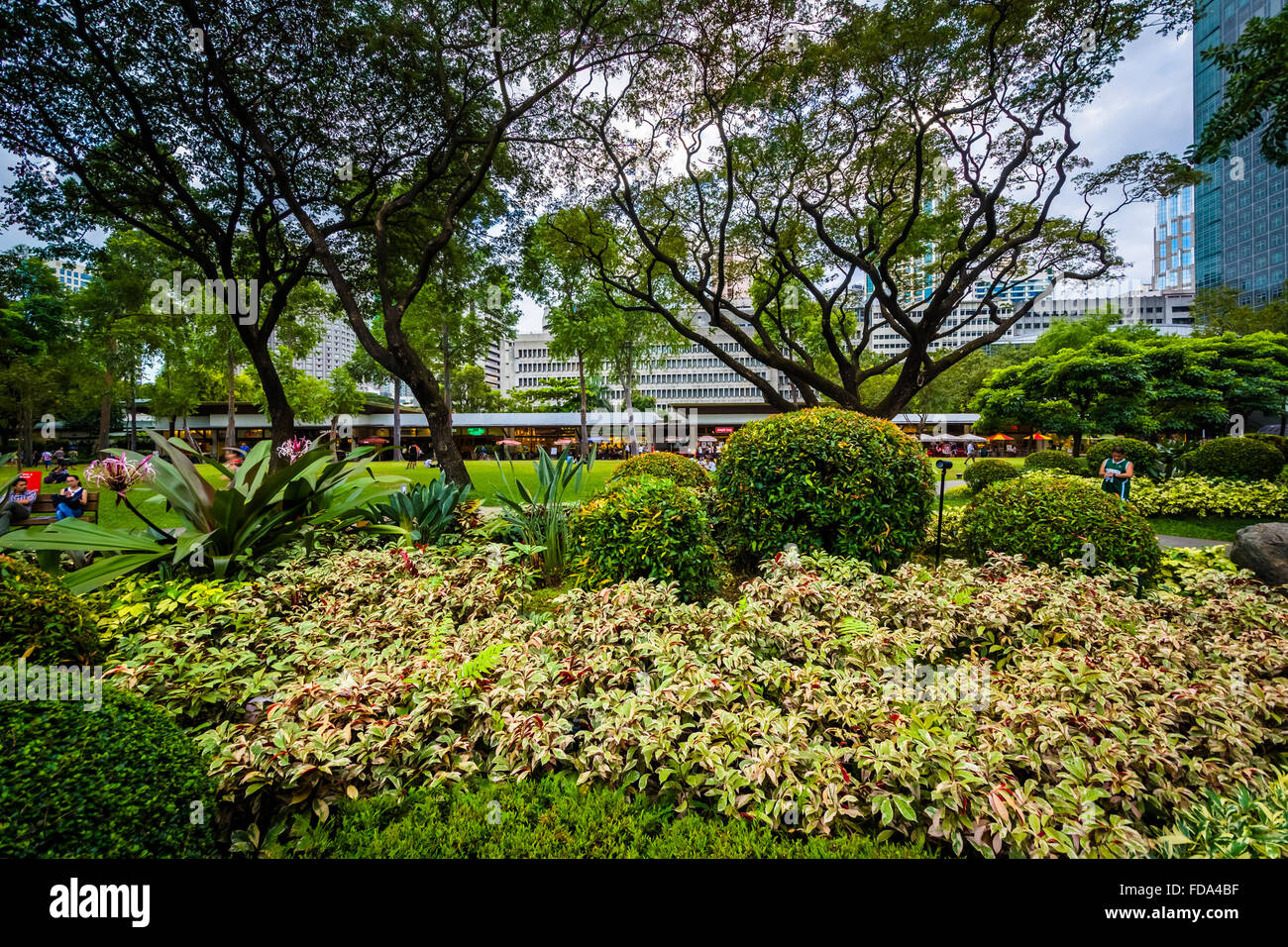 Gardens at Ayala Triangle Park, in Makati, Metro Manila Stock Photo - Alamy