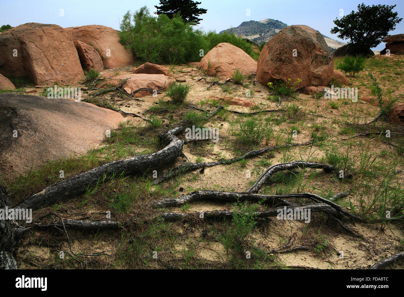 Landscape Greater Khingan Mountains Inner Mongolia Stock Photo - Alamy