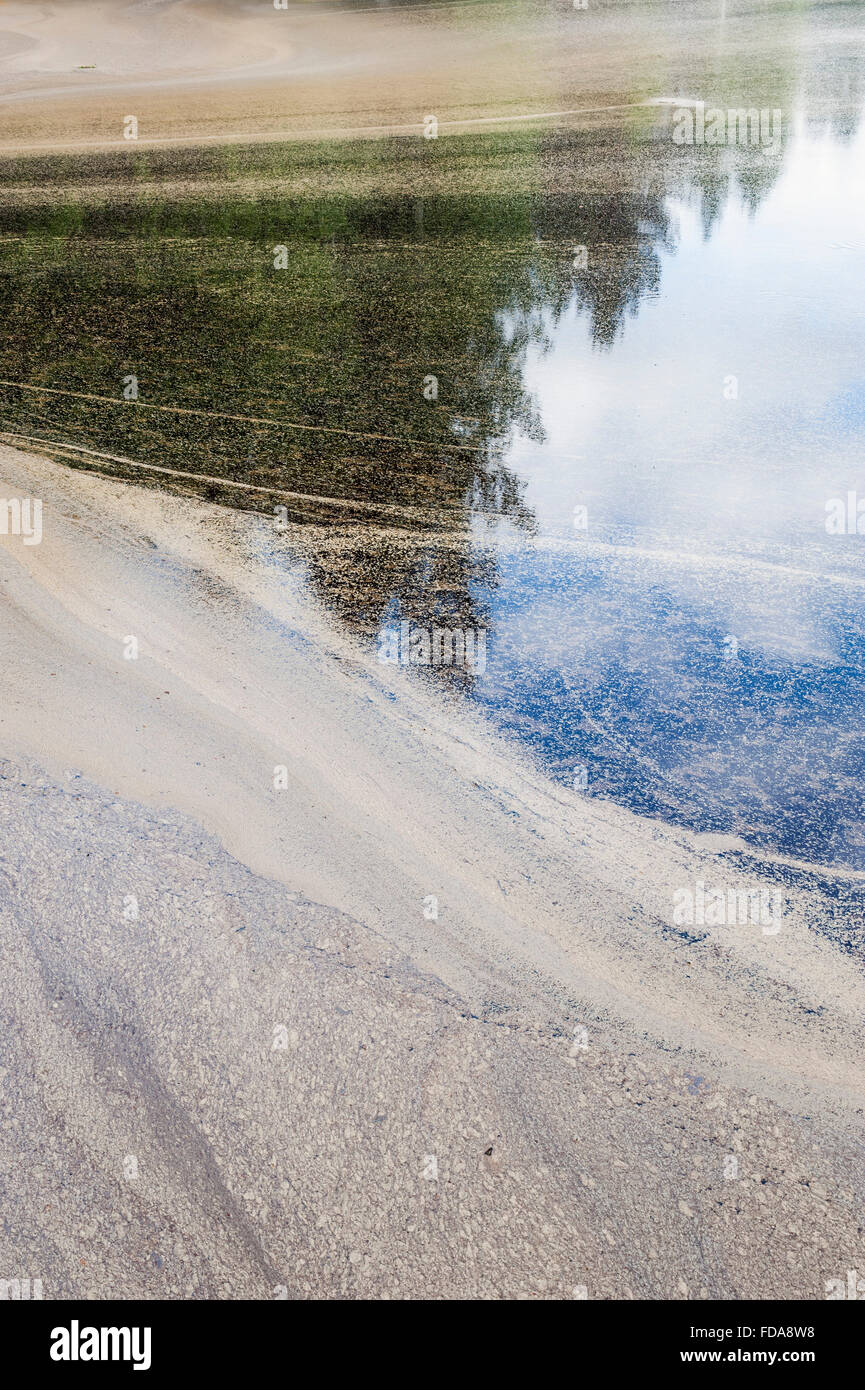 Pollen on lake Stock Photo - Alamy