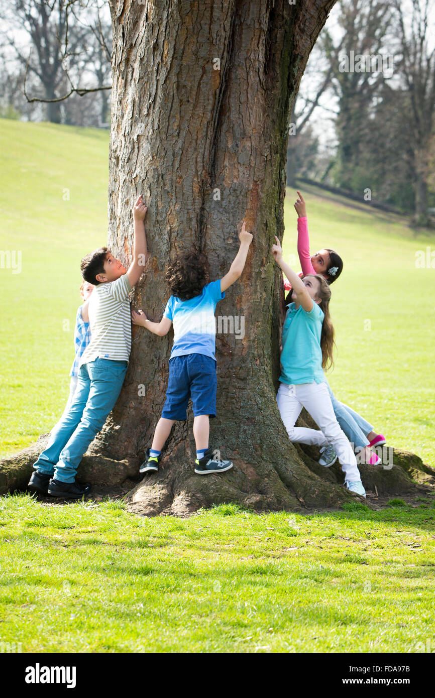 A small group of children pointing up a tree as they all stand around ...