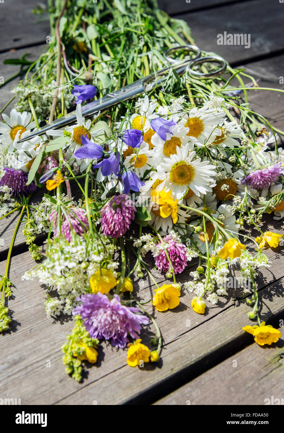 Bunch of wildflowers Stock Photo - Alamy