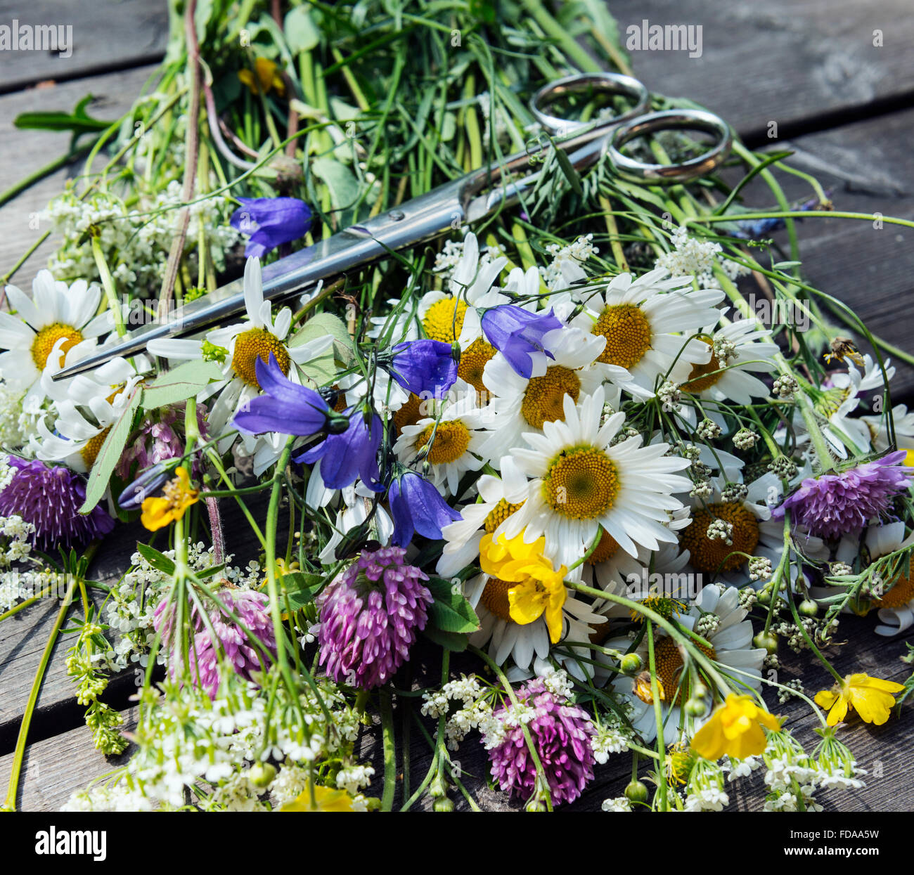 Bunch of wildflowers Stock Photo - Alamy