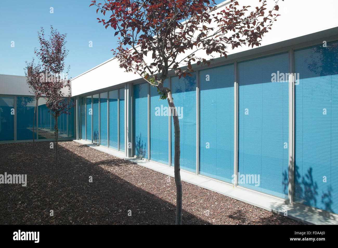Modern building facade with trees. Horizontal Stock Photo - Alamy