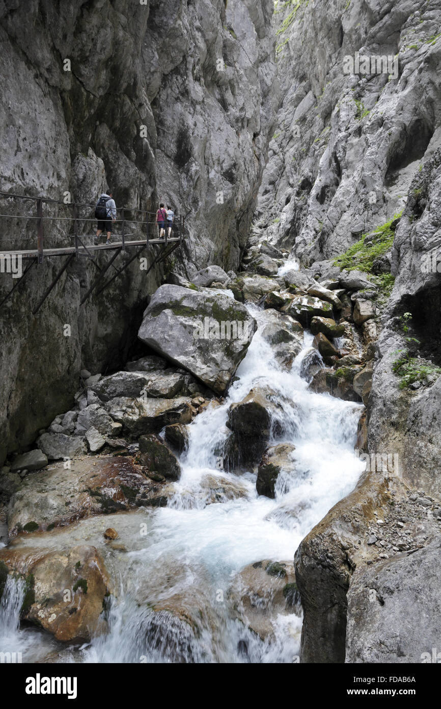 Hoellentalklamm, Germany, Hammersbach in Hoellentalklamm Stock Photo ...