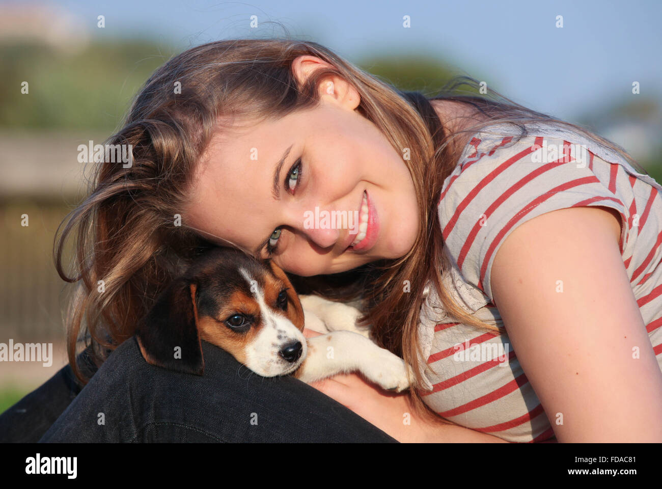 girl with pet puppy dog Stock Photo - Alamy