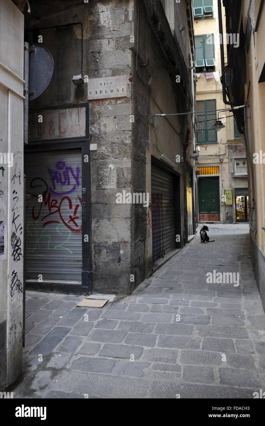Genoa, Italy, typical alley in the historic center of Genoa Stock Photo ...