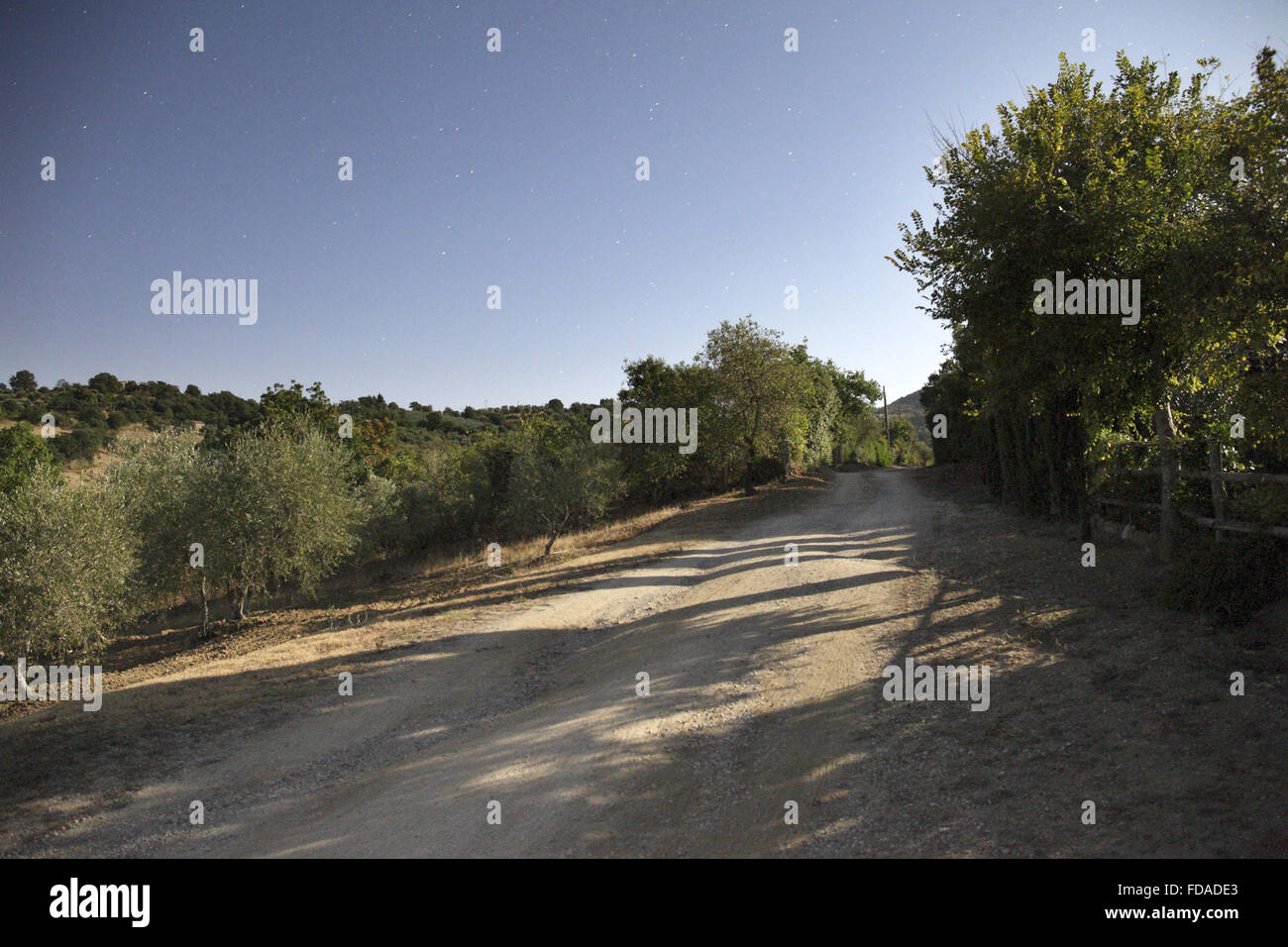 Scansano, Italy, olive groves in Tuscany at full moon Stock Photo - Alamy