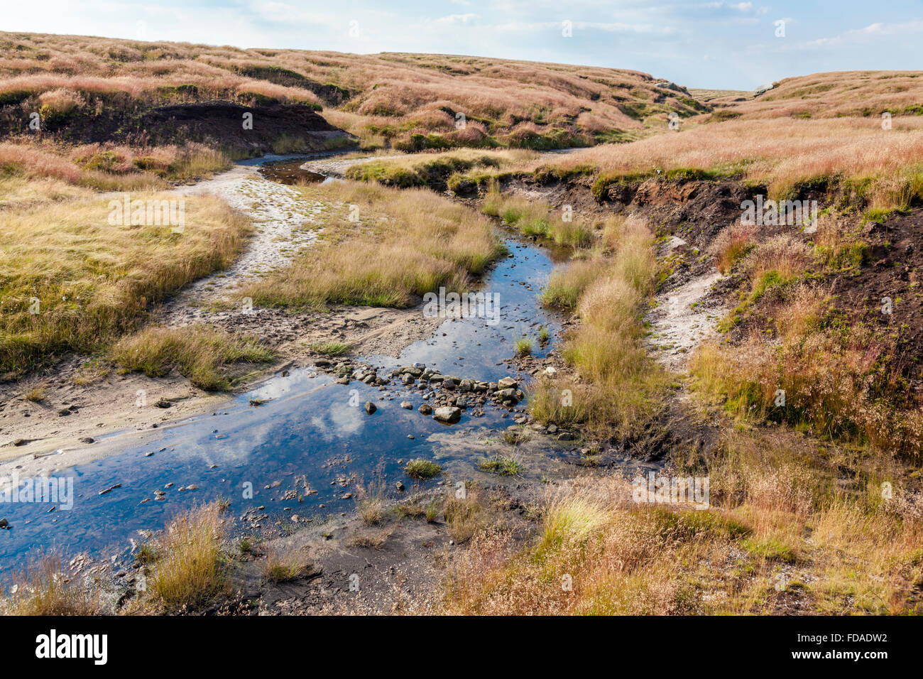 River Kinder almost dried up in Summer with new moor grass and other ...