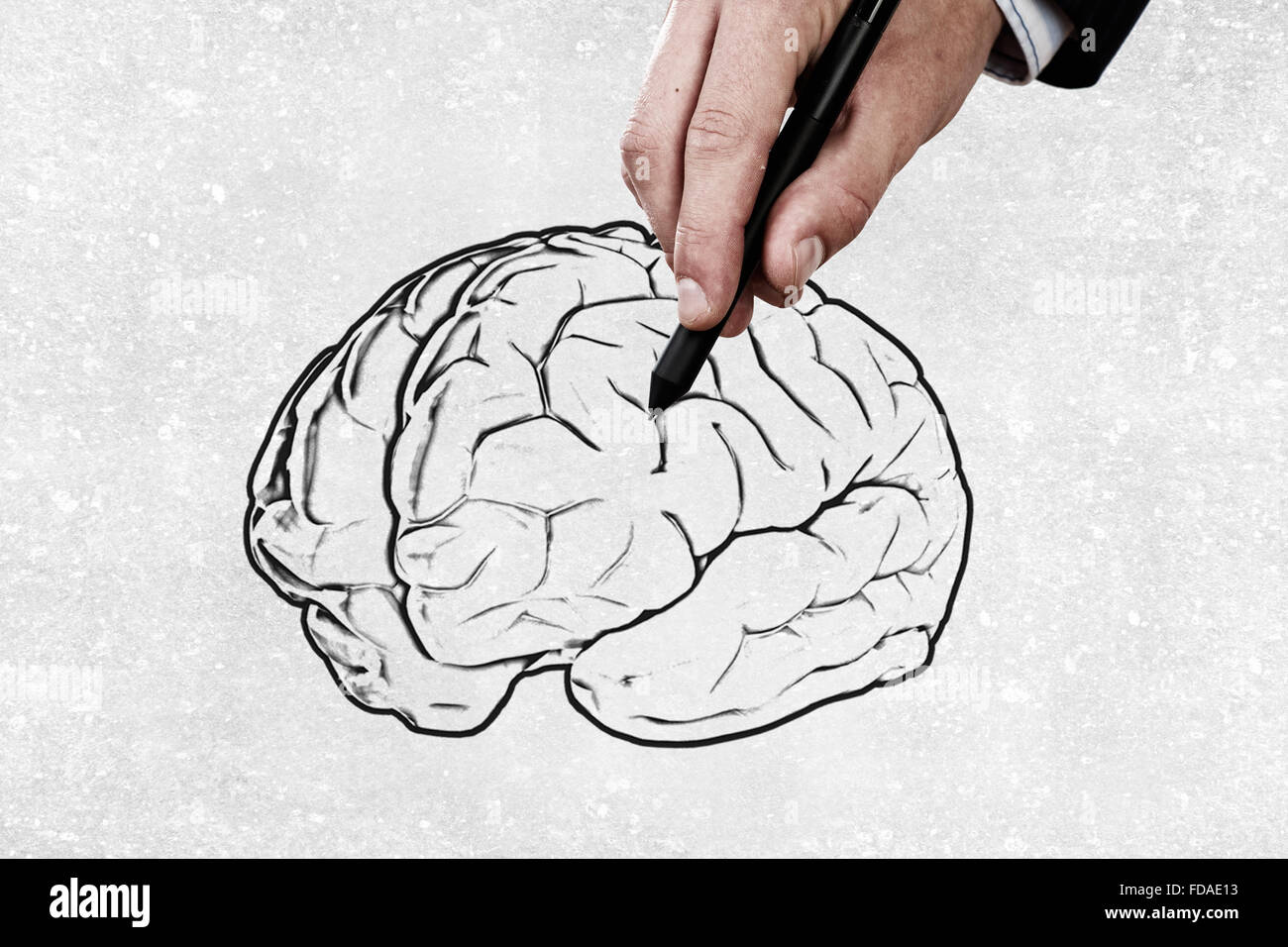 Close up of male hand drawing human brain Stock Photo - Alamy