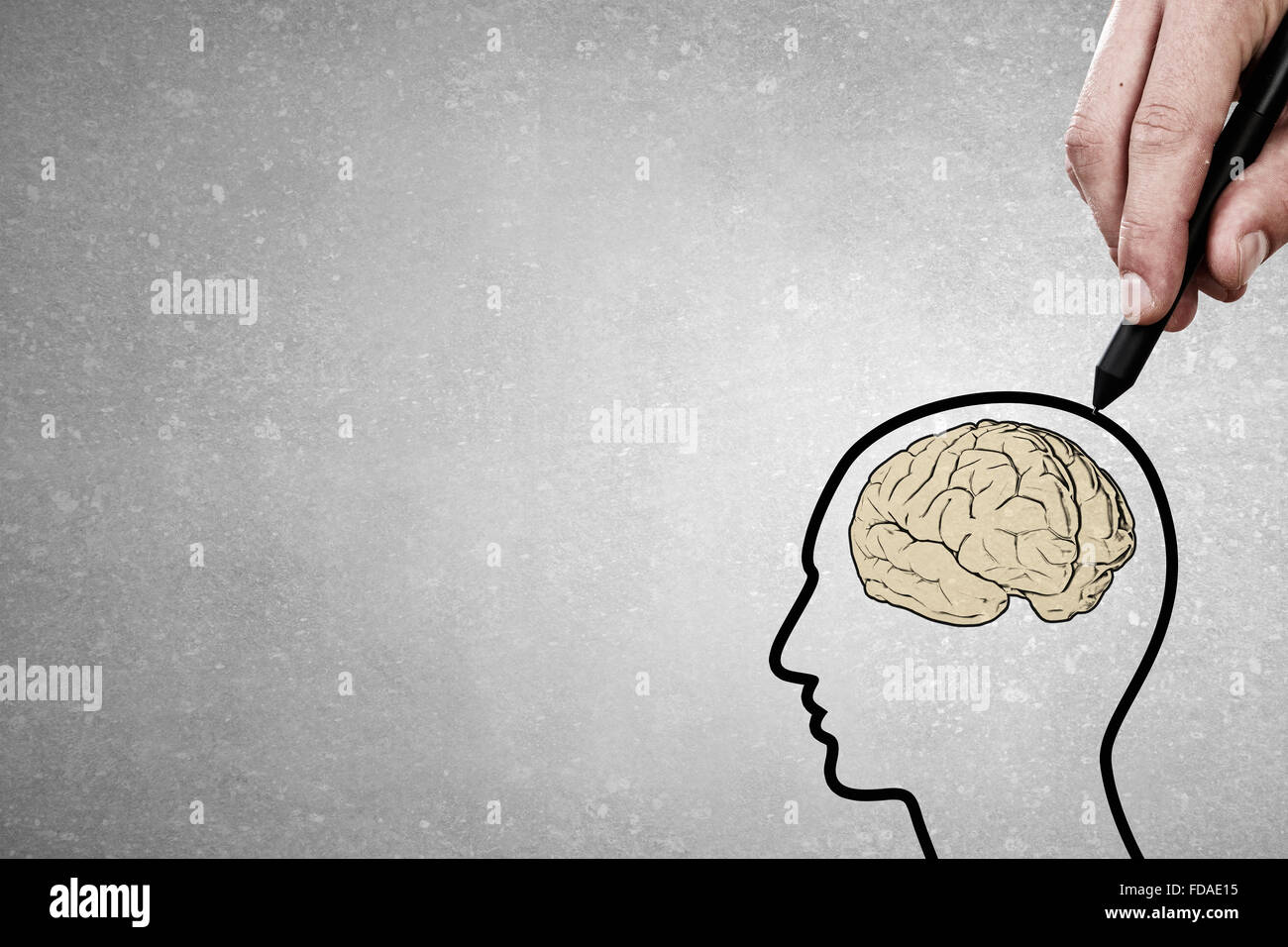 Close up of male hand drawing human brain Stock Photo - Alamy