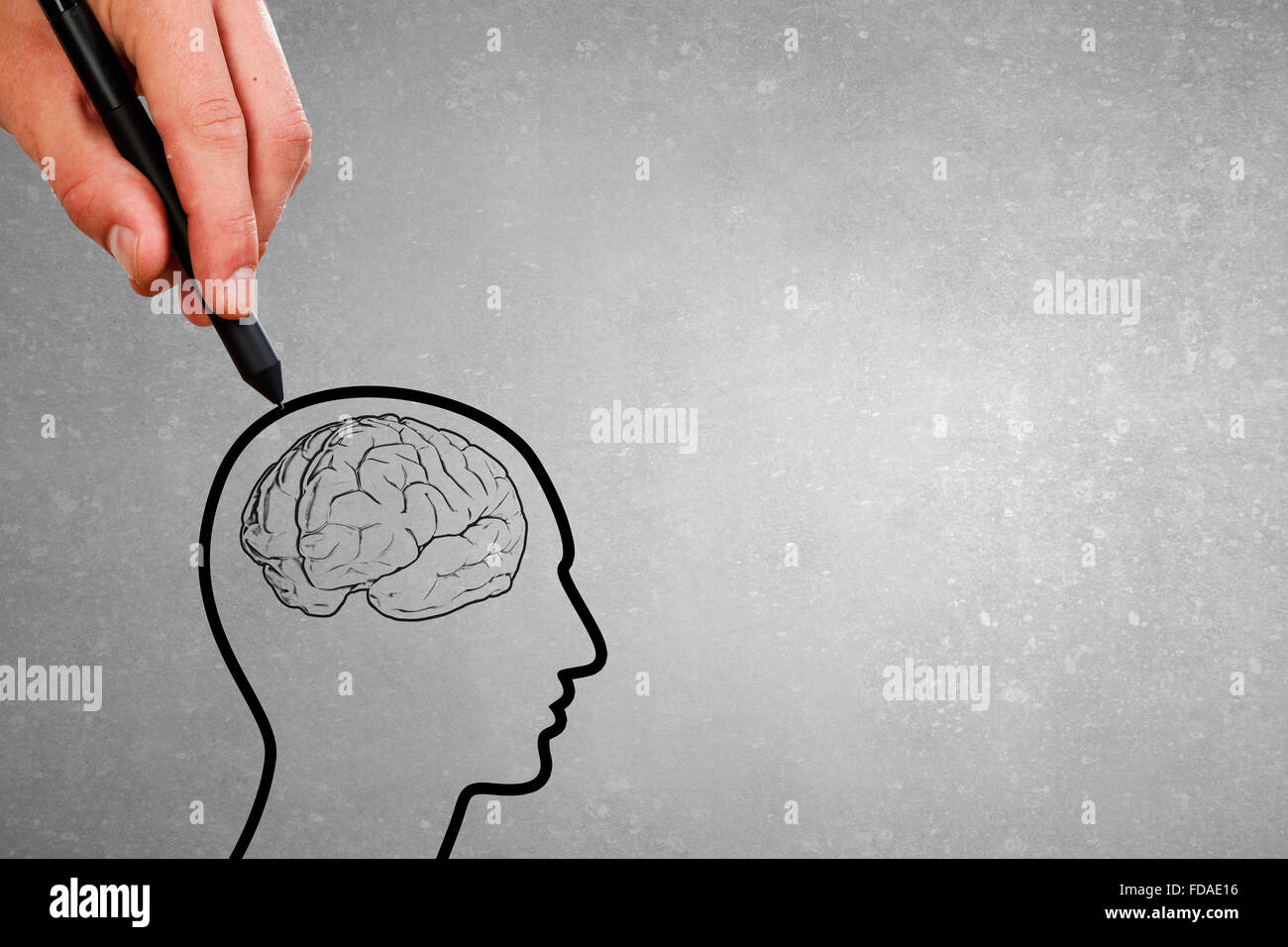 Close up of male hand drawing human brain Stock Photo - Alamy