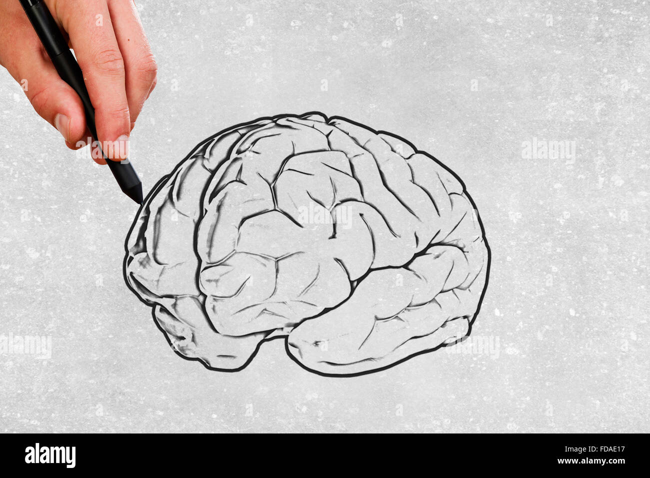 Close up of male hand drawing human brain Stock Photo - Alamy