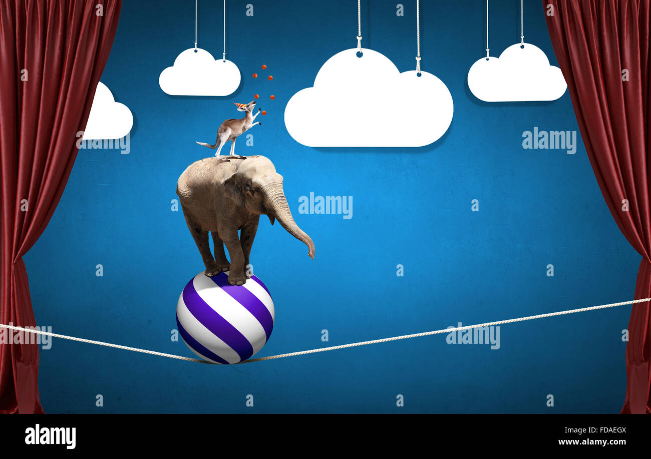 Circus animals standing in stack and balancing on rope Stock Photo - Alamy