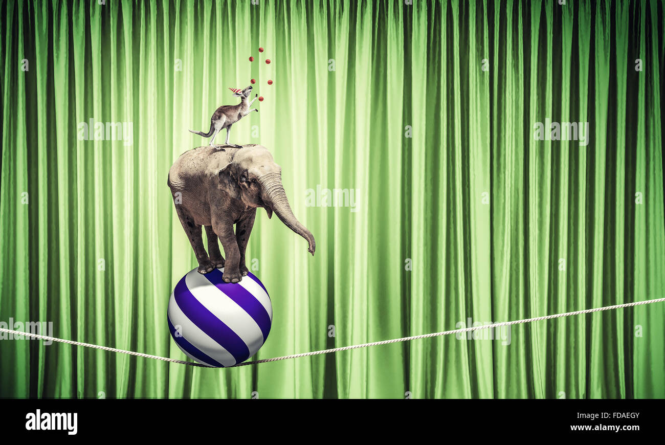 Circus animals standing in stack and balancing on rope Stock Photo - Alamy