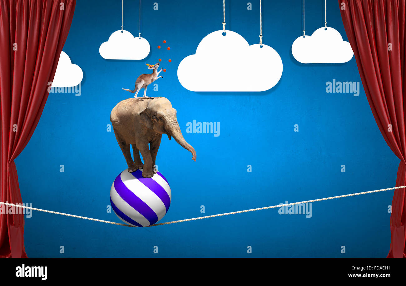 Circus animals standing in stack and balancing on rope Stock Photo - Alamy