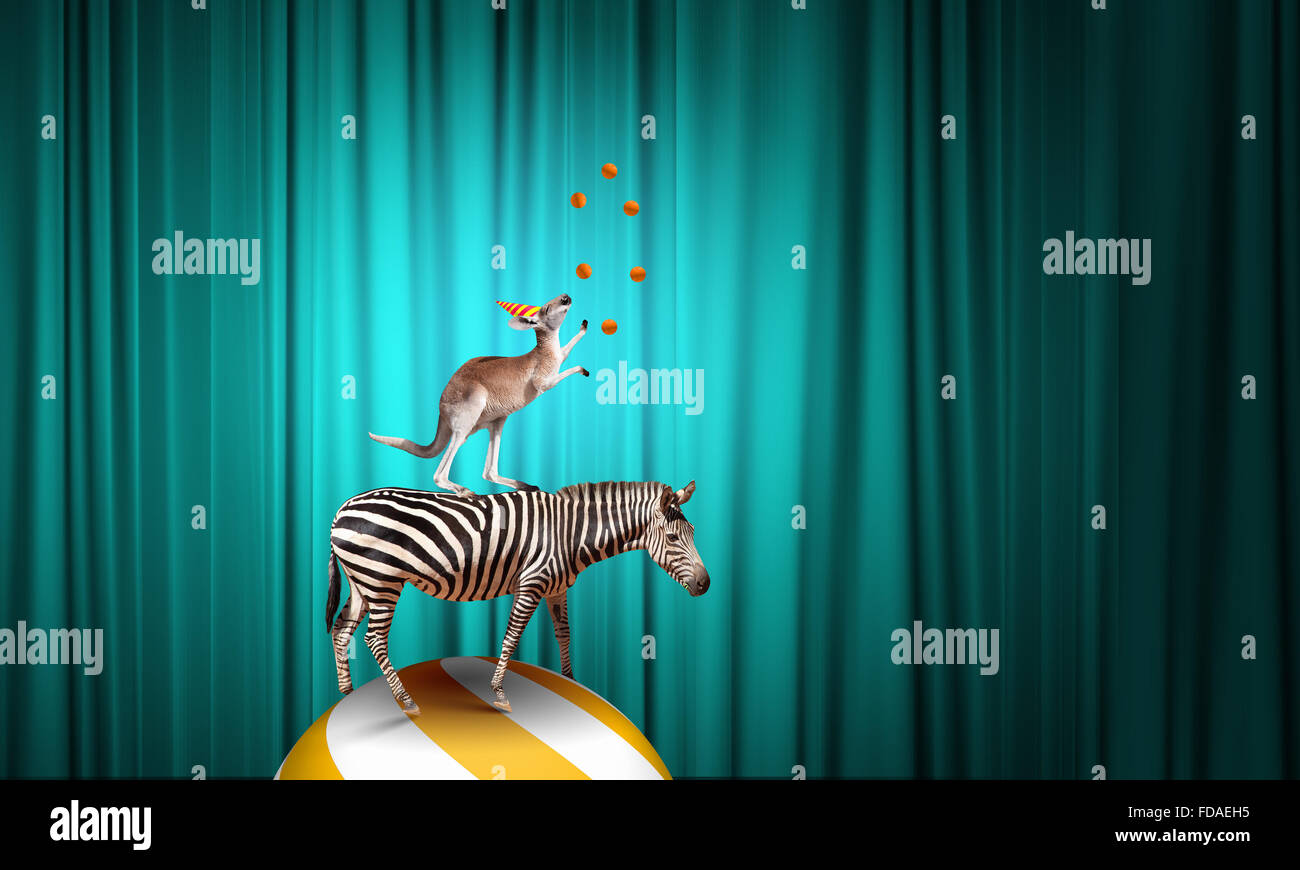 Circus animals standing in stack and balancing on ball Stock Photo - Alamy