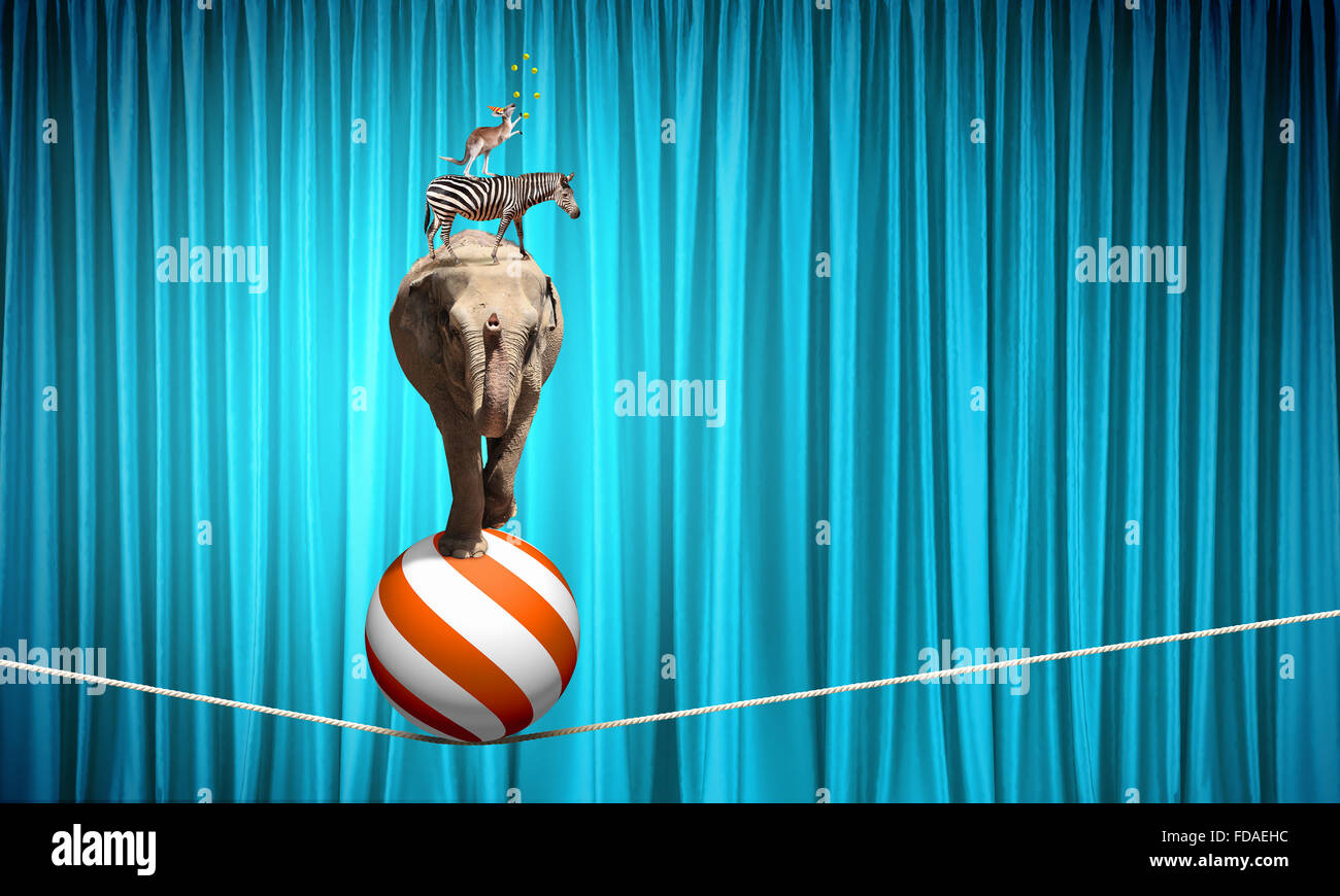 Circus animals standing in stack and balancing on rope Stock Photo - Alamy