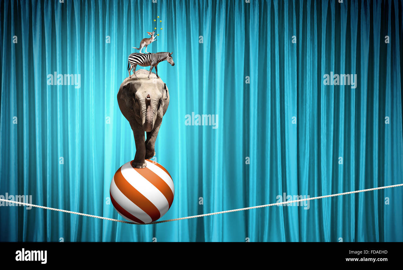 Circus animals standing in stack and balancing on rope Stock Photo - Alamy