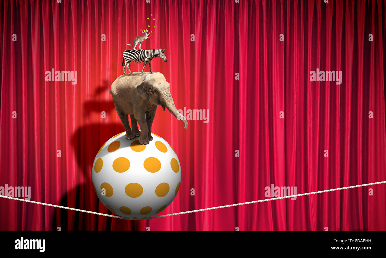 Circus animals standing in stack and balancing on rope Stock Photo - Alamy