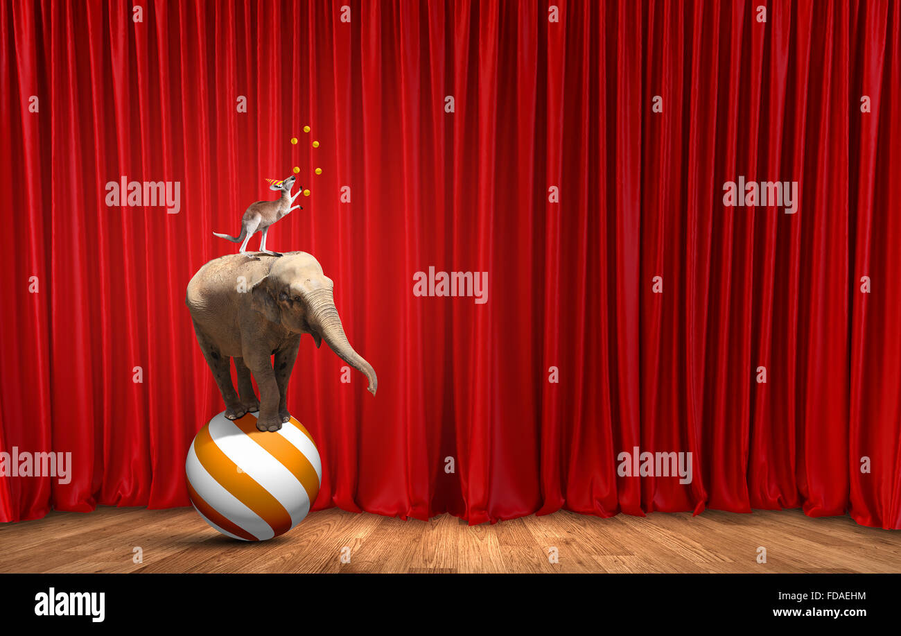 Balancing on ball circus hi-res stock photography and images - Alamy