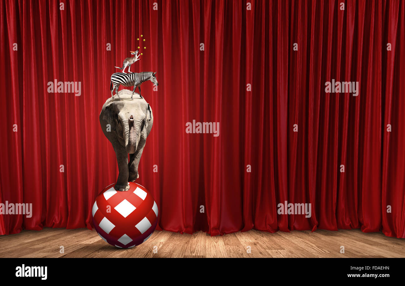 Circus animals standing in stack and balancing on ball Stock Photo - Alamy