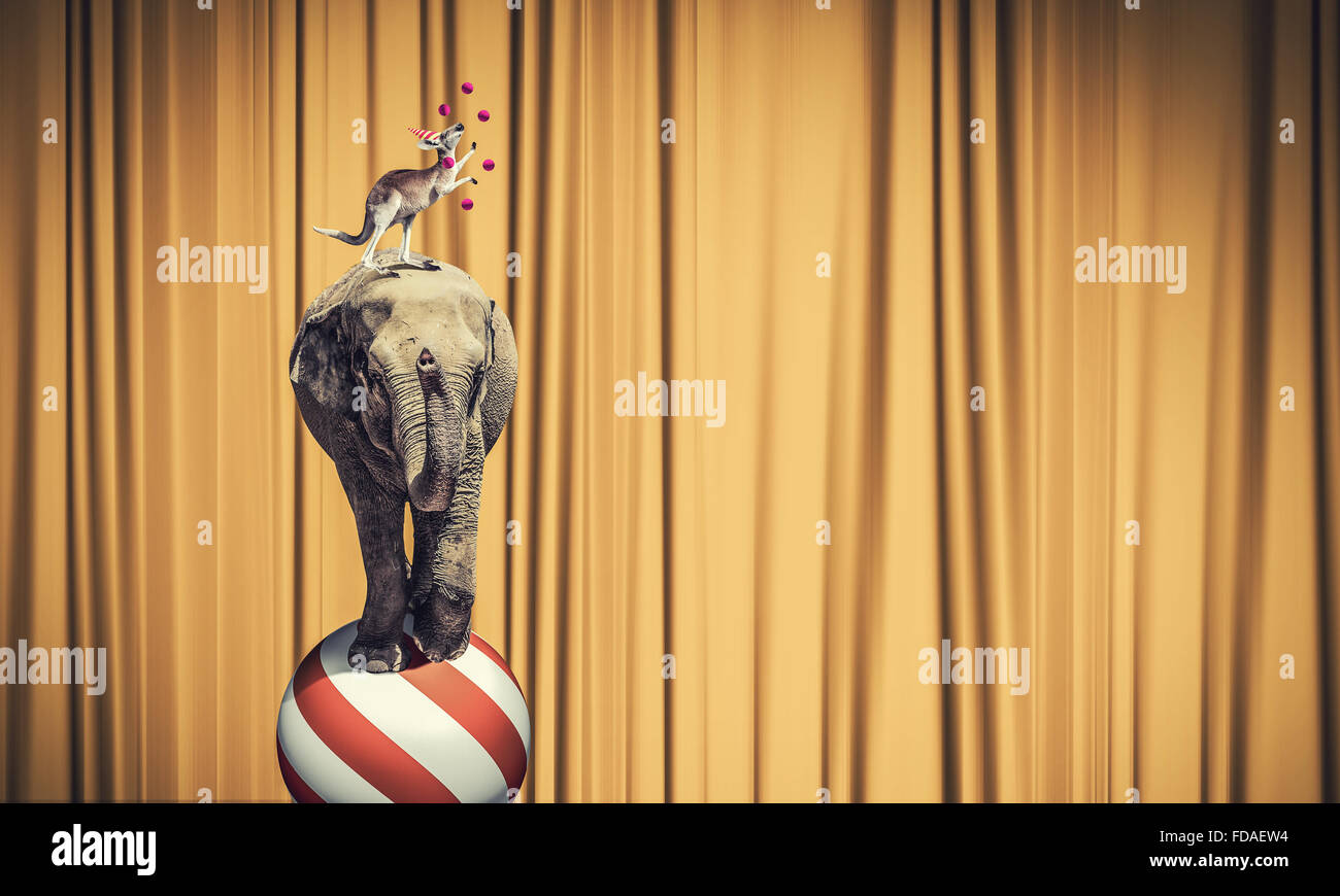 Circus animals standing in stack and balancing on ball Stock Photo - Alamy